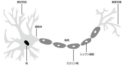 lec-mlsys/Guidance-1.md at main · keioNishi/lec-mlsys · GitHub